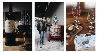 5 Reasons You Need to Visit Healdsburg - Wine with Paige