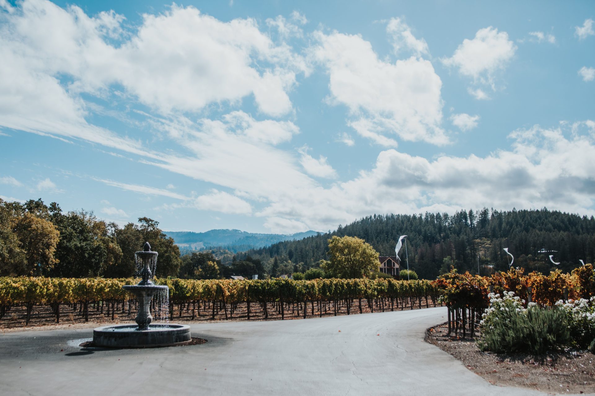 Bennett Lane - Wine with Paige