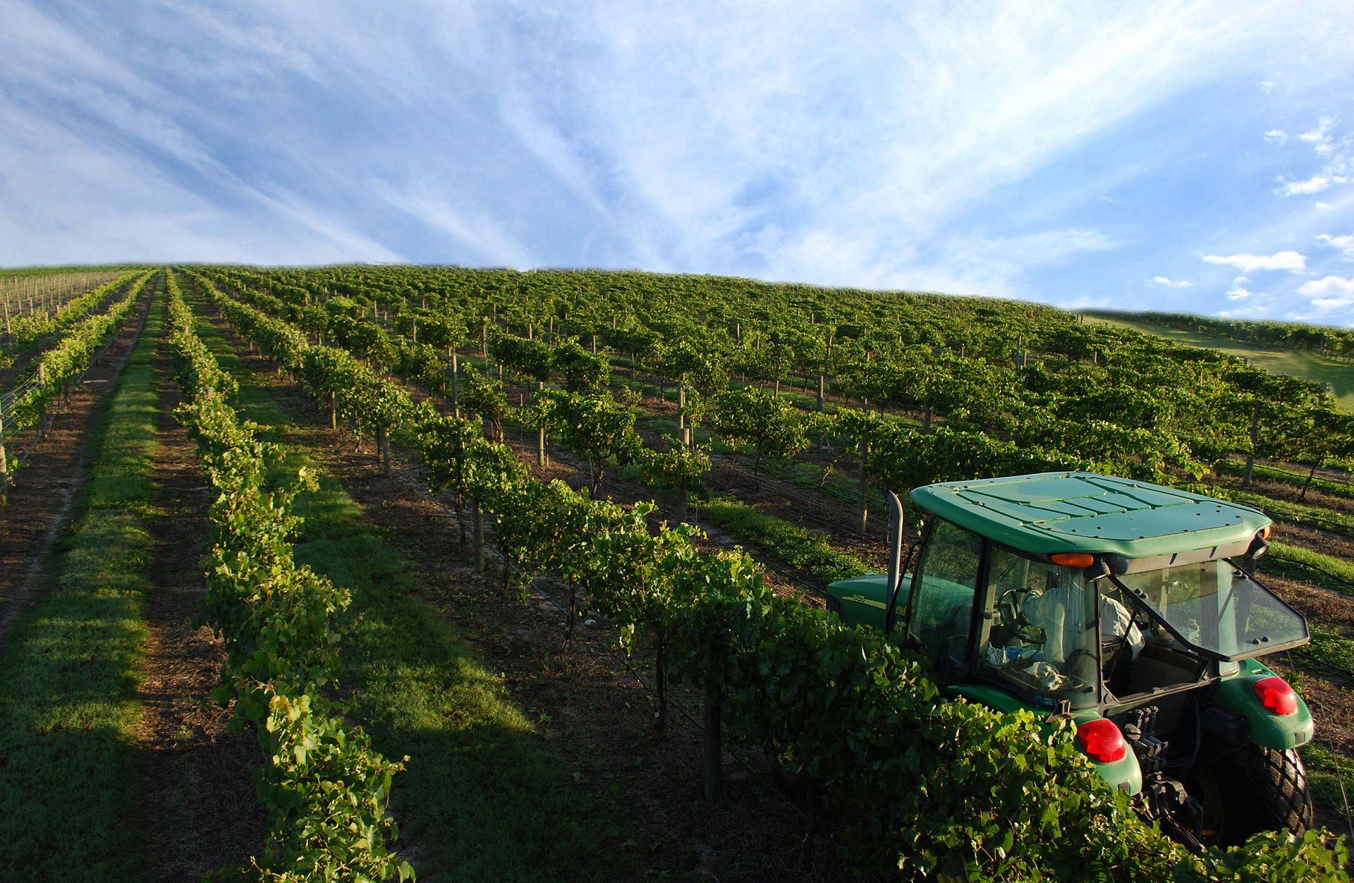 Florida Wineries - Sipping Wine in the Sunshine State - Wine with Paige