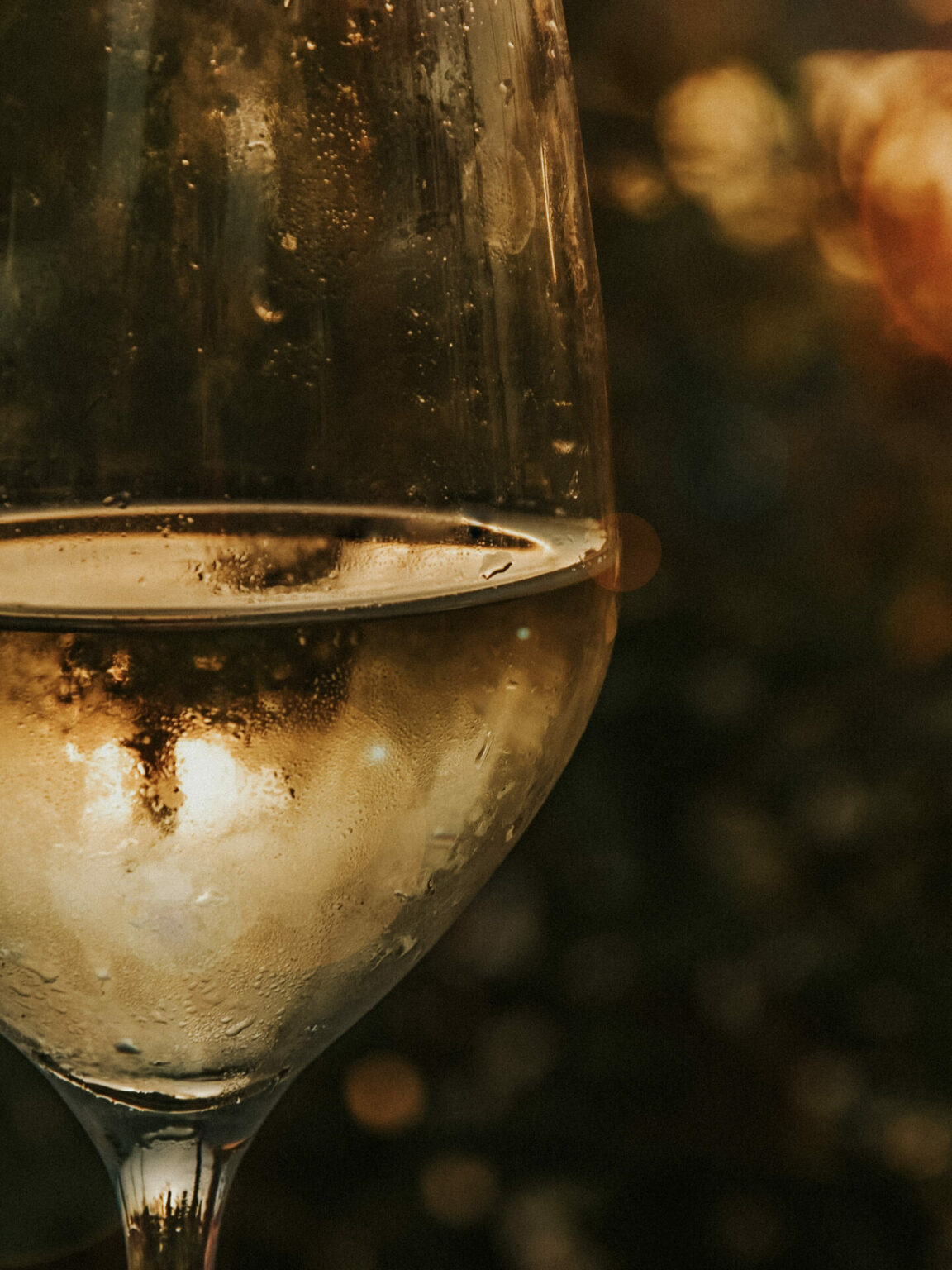 Discover the Rich, Robust Flavor of Tempranillo - Wine with Paige