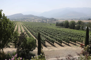 Best Rogue Valley Wineries - Applegate, Ashland, Jacksonville,