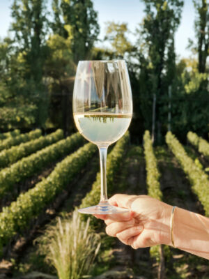 11 Best Sauvignon Blanc Wines for Any Budget - Wine with Paige