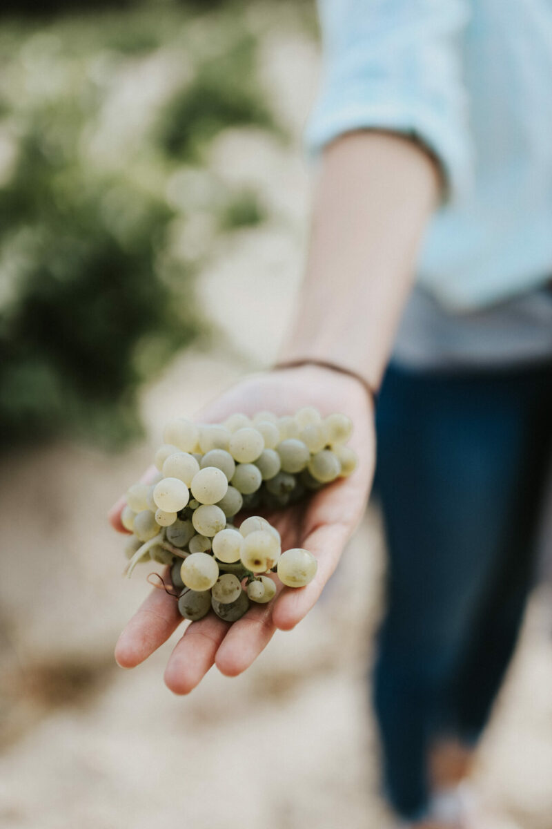 Verdejo Wine: A Crisp, Refreshing White Wine - Wine with Paige