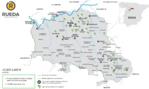 Rueda Wine: Your Guide to Spain’s Best Verdejo - Wine with Paige