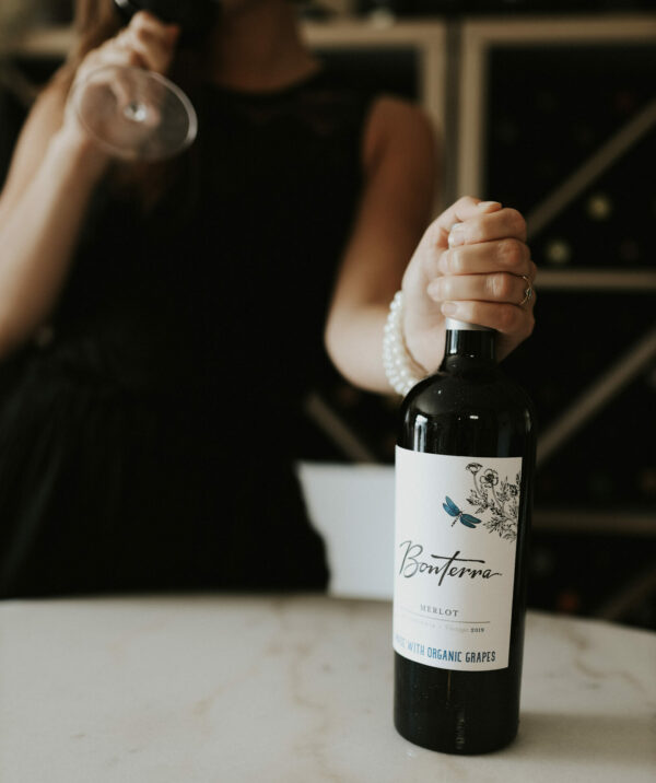 Best Merlot Wines for Any Budget - Wine with Paige