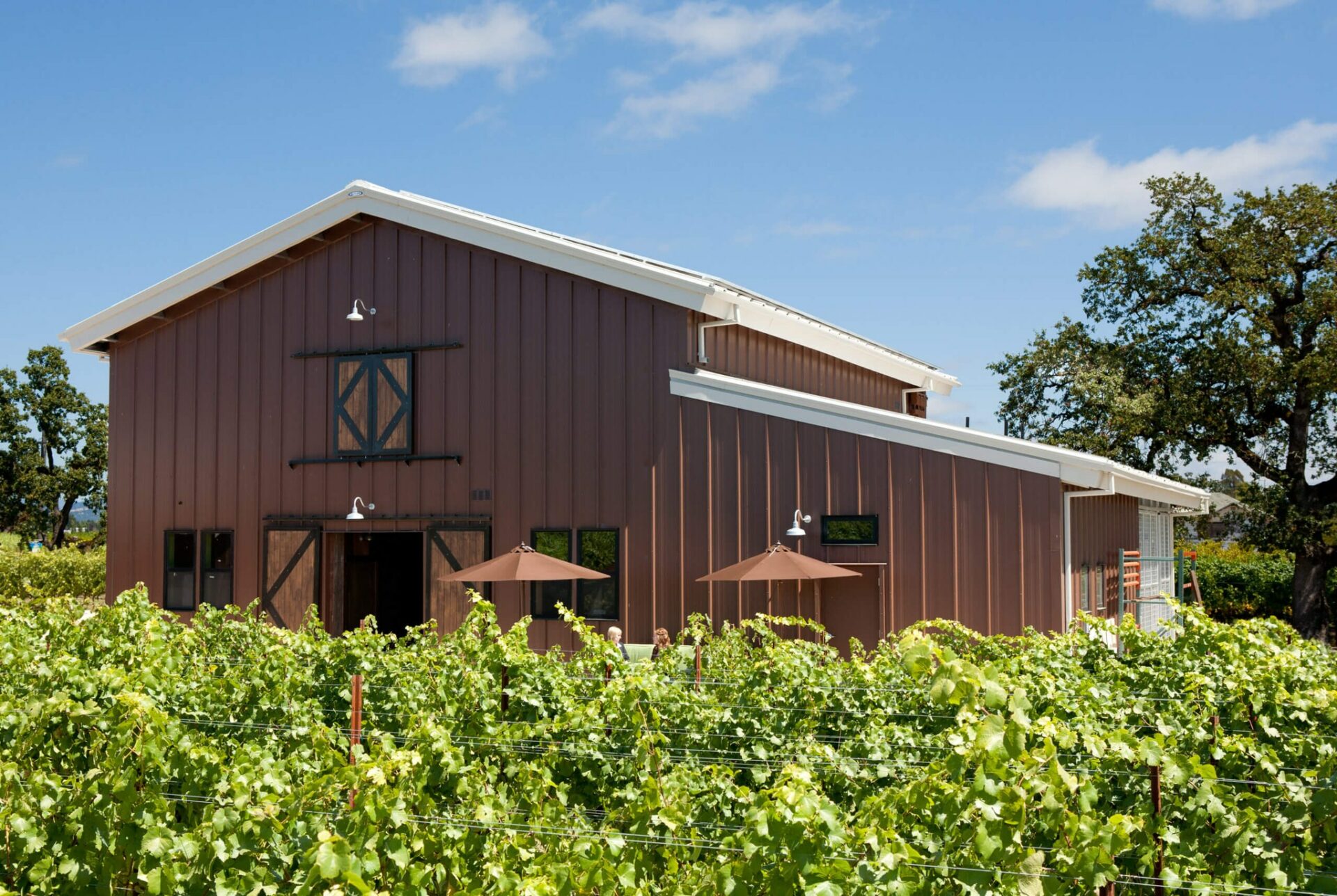 Santa Rosa Wineries: Your Complete Guide - Wine with Paige