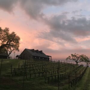 Your Guide To The Best Petaluma Wineries - Wine with Paige