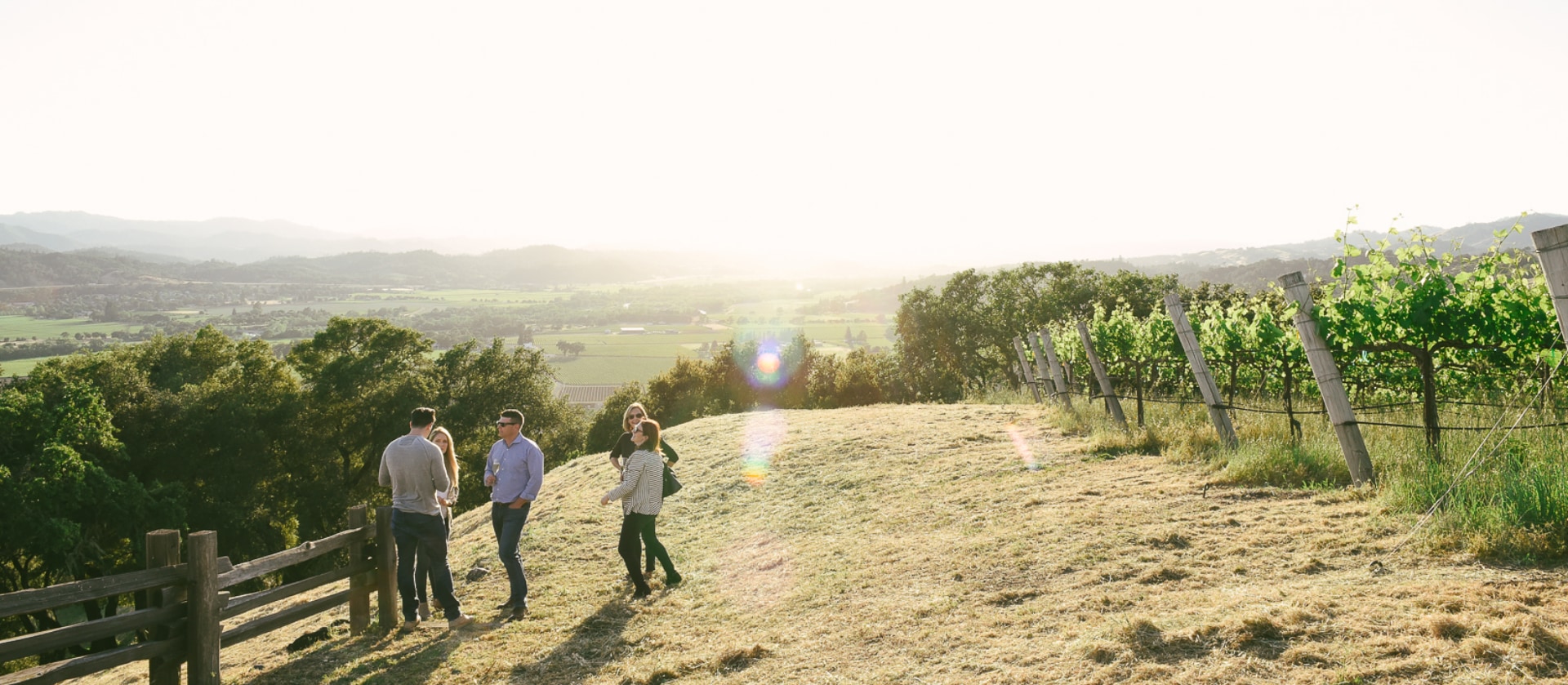 Russian River Valley Wineries: The Ultimate Guide - WWP