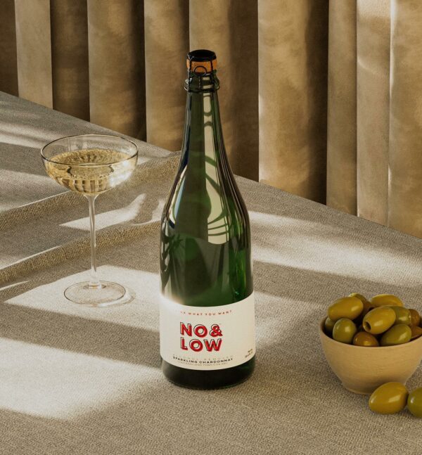 Dry January Guide: Best Alcohol Alternatives - Wine with Paige