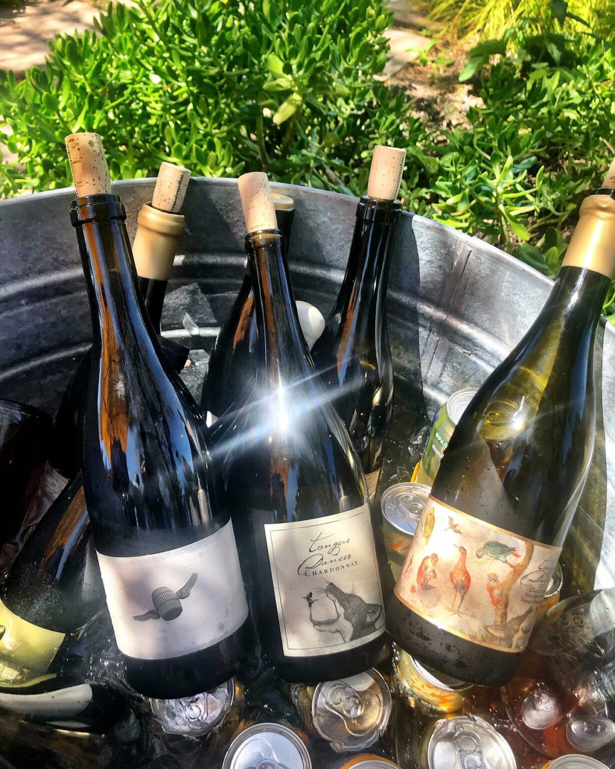 Russian River Valley Wineries: The Ultimate Guide - WWP