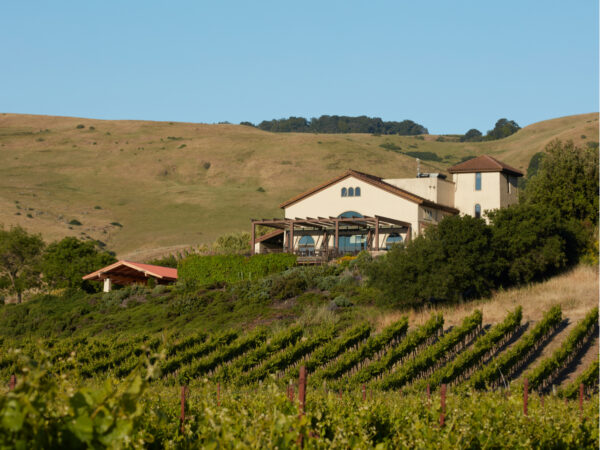 11 Best Wineries in Sonoma: A Local’s Guide - Wine with Paige
