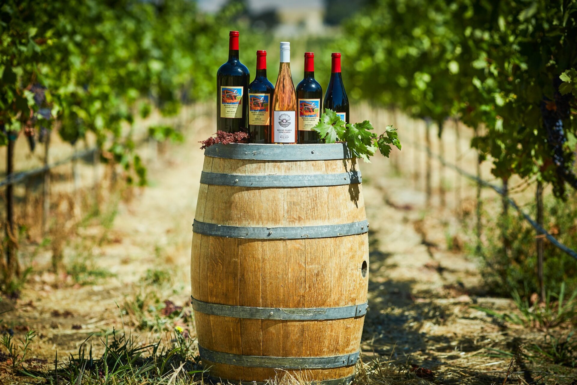 The Best Wineries in Livermore Valley - Wine with Paige