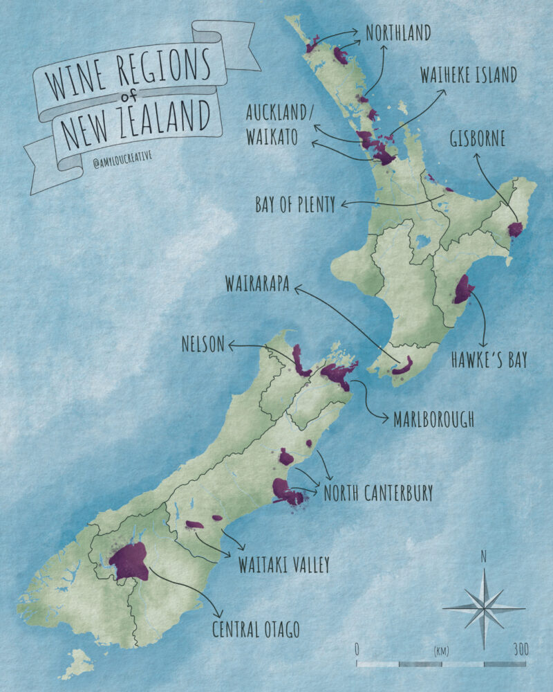 New Zealand Sauvignon Blanc Deep Dive - Wine with Paige