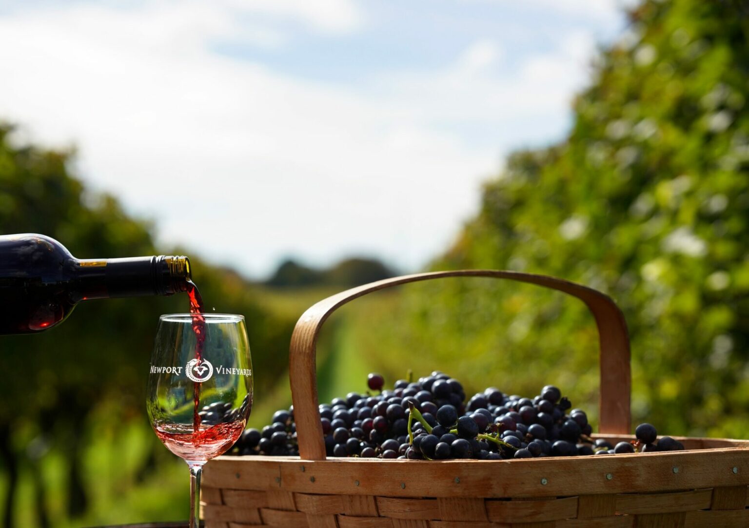 Rhode Island Wineries: A Small State with Big Flavor - WWP