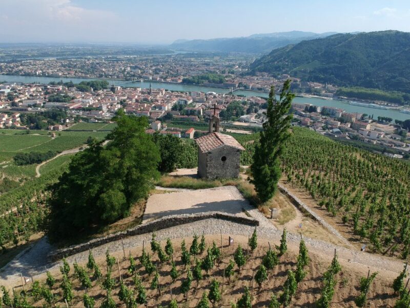Syrah 101: Your Complete Guide - Wine with Paige