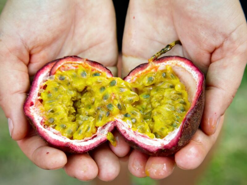 Passionfruit Margarita Recipe - Wine with Paige