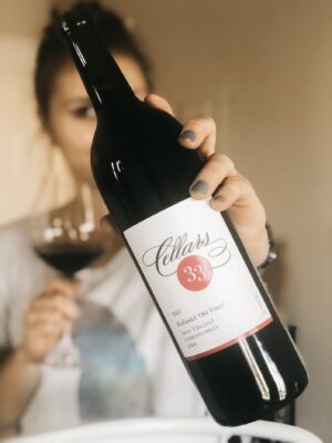 Zinfandel Wine 101: Your Complete Guide - Wine with Paige