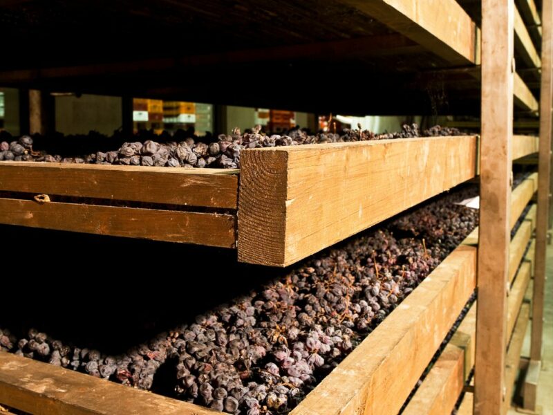 Amarone Wine: Everything You Need to Know - Wine with Paige