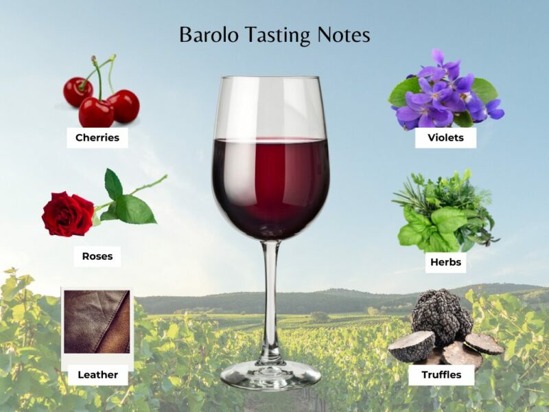 Barolo Wine 101: Your Complete Guide - Wine with Paige