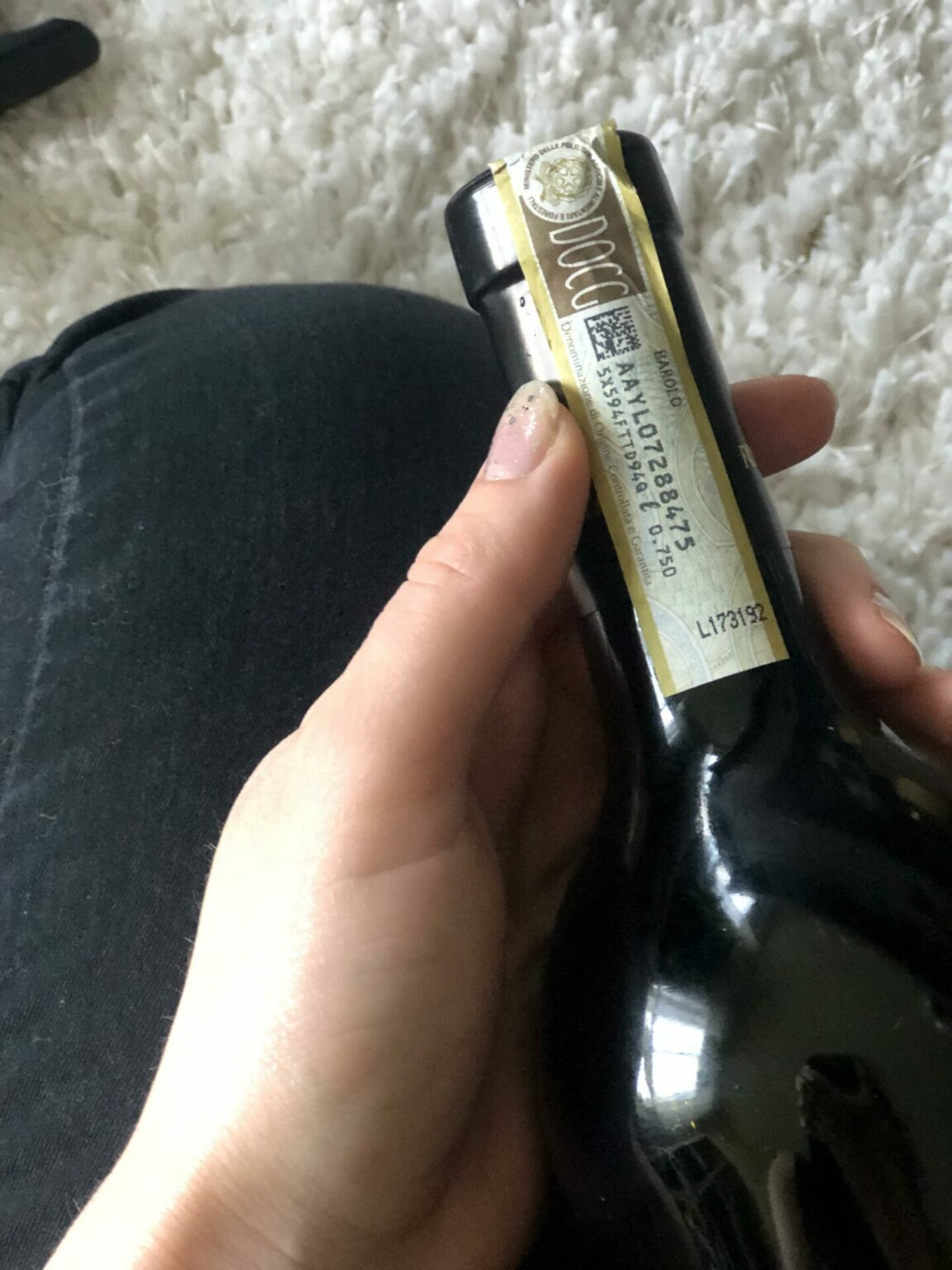 Barolo Wine 101: Your Complete Guide - Wine with Paige