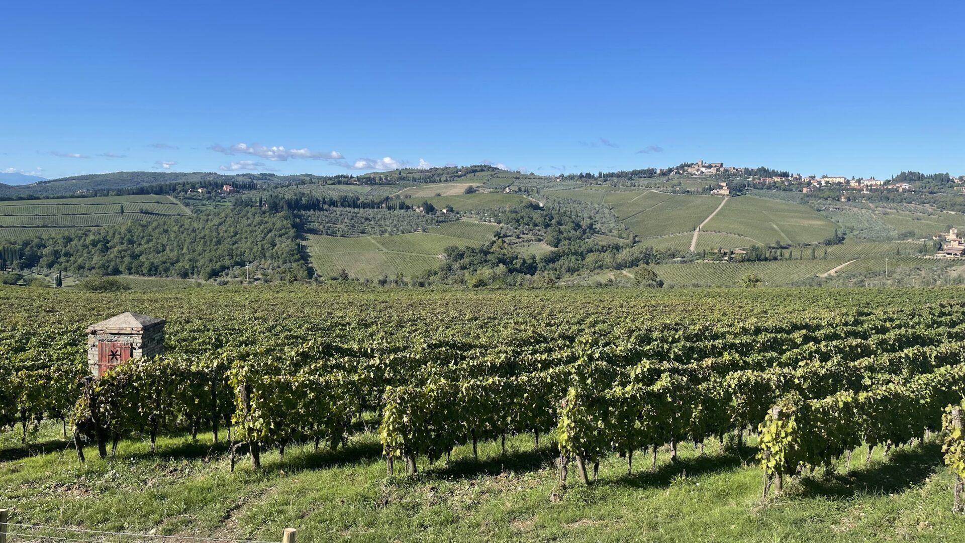 Brunello di Montalcino: Celebrating Tuscany’s Great Wines - Wine with Paige